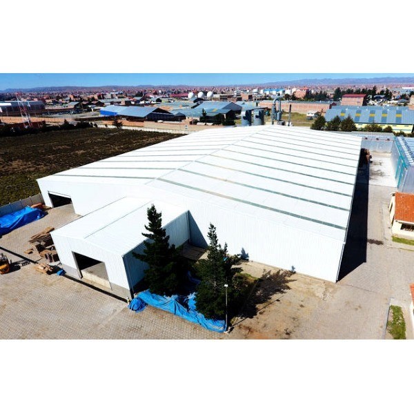 Quality Prefabricated Steel Structure Workshop Industrial Frame Building Fireproof for sale
