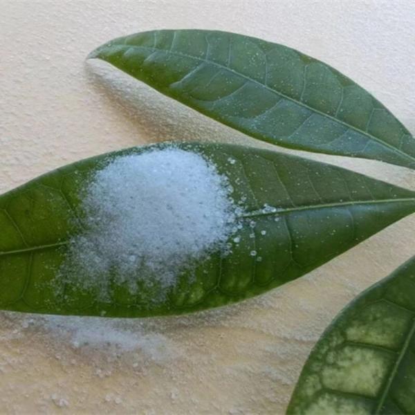Quality Long Lasting Solvent Based Solid Acrylic Resin For Screen Printing Ink In Glass for sale
