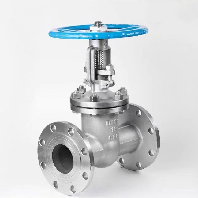 Z41W-150/300/600lb ANSI Flanged Gate Valve CF8