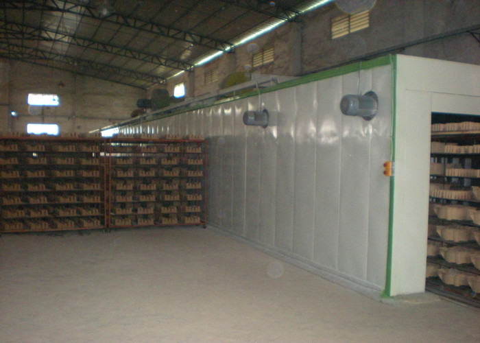 Quality Tunnel Type Paper Pulp Molding Machine Drying Production Line ， 220V - 440V for sale
