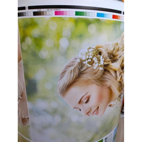 Quality Single Faced Printing Unit Type 6 Colors Flexographic Machine for Paper Plate for sale