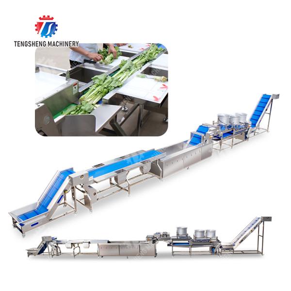 Quality vegetable drying equipment Fruit and vegetable selection washing and drying for sale
