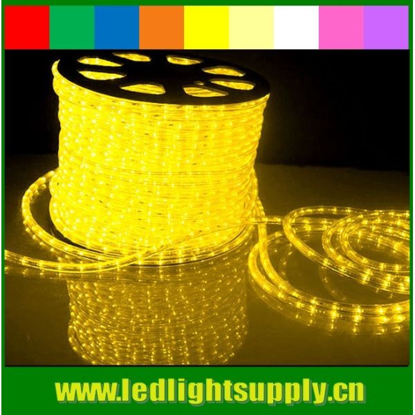 Quality 12/24v 1/2'' 2 wire led light outdoor christmas rope flex light for sale