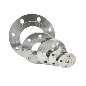 Quality EN1092-1 Type 01 Ss355jr 16mo3 Welding Neck Flange and WN Flange for High for sale