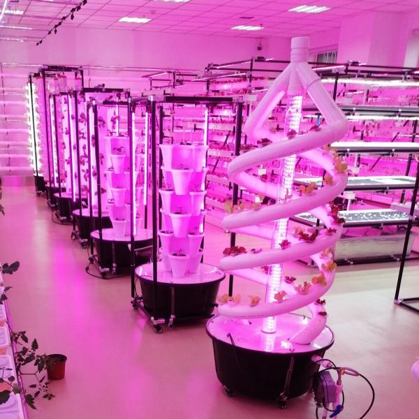 Quality Vertical Spiral Plant Grow Hydroponic Tower Cultivation garden aeroponics System for sale