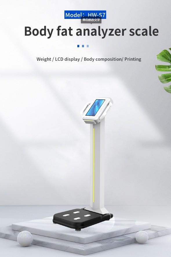 Quality 2023 Design Digital Body Fat Analyzer Machine for Measuring Weight and Body for sale