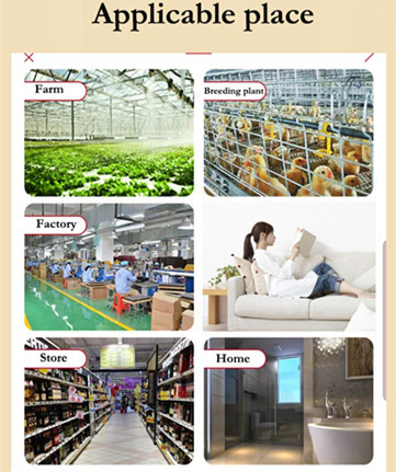 Quality 5W Breathing Ozone Machine Ozonator 500 Mg/H OEM for sale