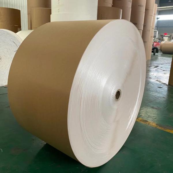 Quality Brown Eco PE Coated Kraft Paper Roll 300G for sale