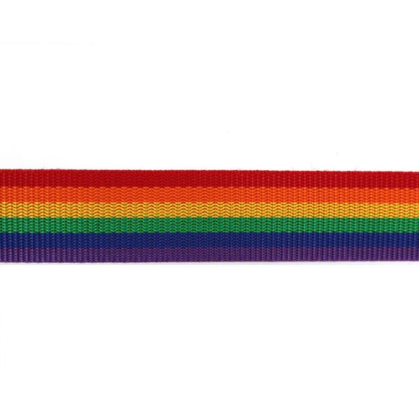 Quality T008 Rainbow Stripe Polyester Webbing Trim for sale