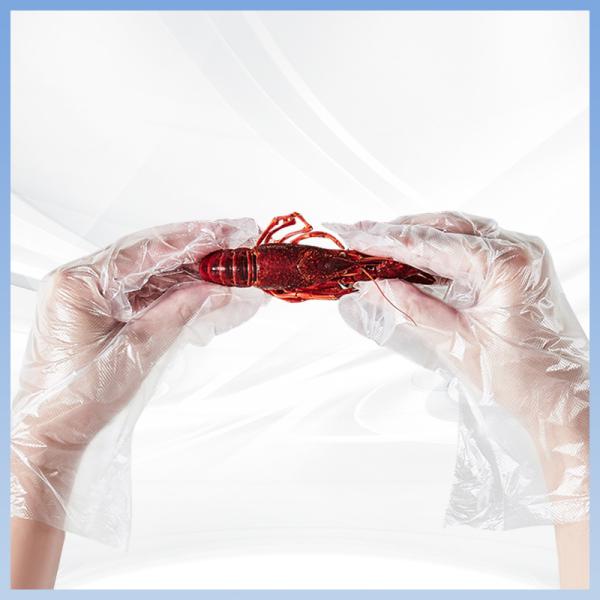 Quality OEM Lightweight Durable Disposable Polyethylene Gloves Food Prep for sale