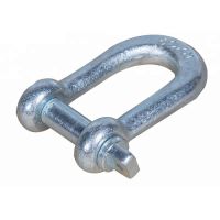 China Anchor Chain U Type Shackle , Screw Pin Anchor Shackle For Connect Wire Rope factory