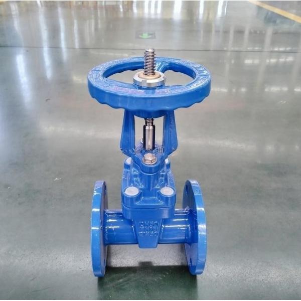 Quality GGG40 DN200 Rising Stem Gate Valve Soft Resilient Seat Valve for sale