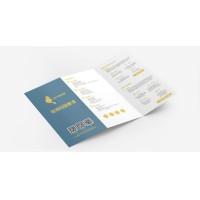 Quality 800gsm 1000gsm Hardcover Brochure Printing Offset Flyer Printing for sale