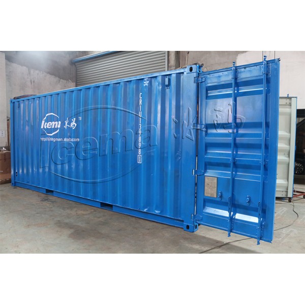 Quality Emerson 3 Ton Directly Cooling ICEMA Containerized Block Ice Plant for sale
