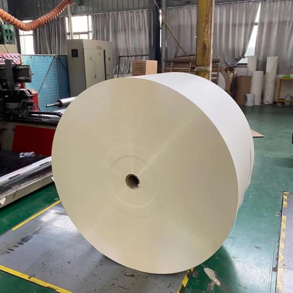 Quality Flexographic Plastic Coated Paper Roll 160 Gram Paper Cup Raw Material for sale