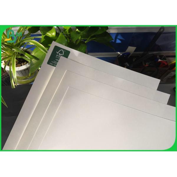 Quality 160gsm + 10gsm Poly Coated Paperboard , Food Grade Paper Roll With Great for sale