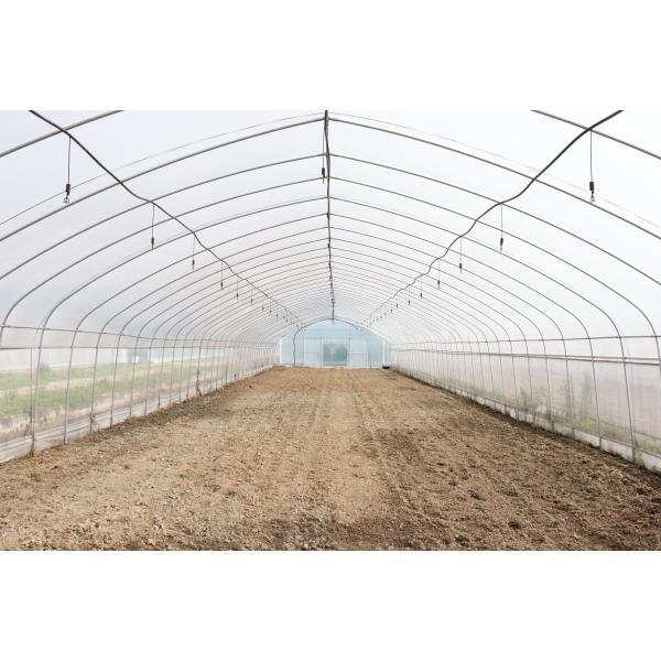 Quality Stable Structure Polyethylene Film Greenhouse / Vegetable Tomato Plant for sale