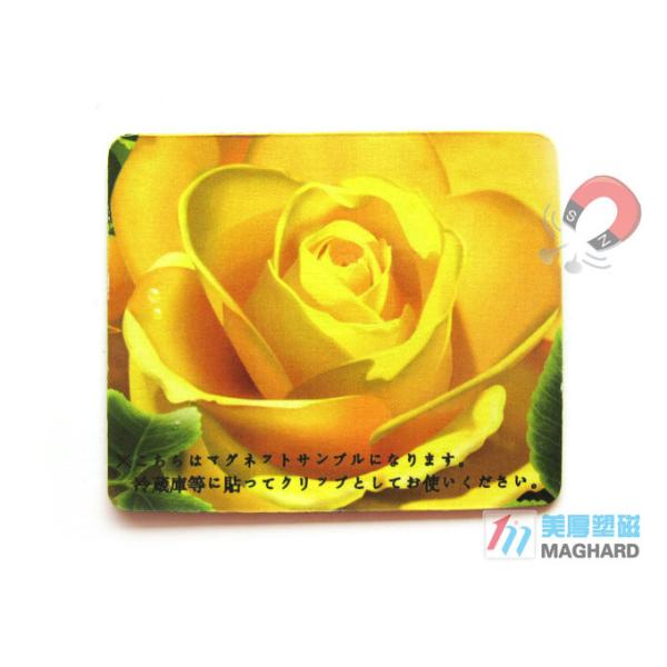 Quality Custom Made Flat Personalized Fridge Magnets For Fridge Magnets Yellow Flower for sale
