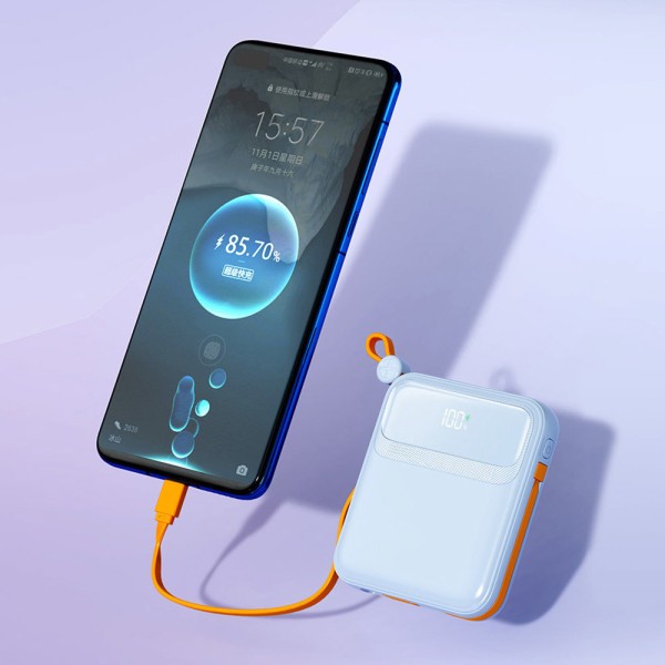 Quality 10000mAh shared power bank lithium battery for sale