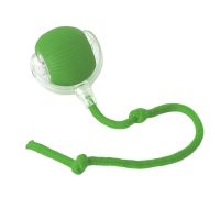 Quality Voice Control Pet Training Toys GPS Tracking Long Battery Life Bluetooth Remote for sale