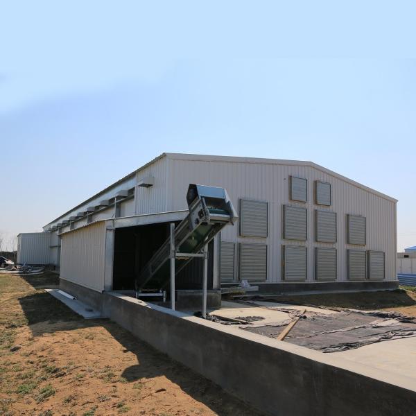 Quality Hotel Design Style Precision-Engineered Steel Structure Chicken Coop for Optimal for sale