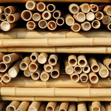 100 % Natural Strong Durable Moso Bamboo Pole Customize Length