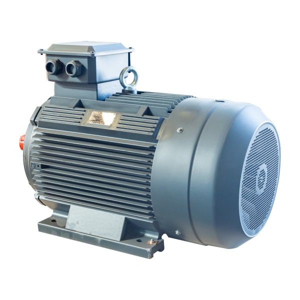 Quality Three Phase Squirrel Cage Induction Motor Energy Saving 0.75KW To 355KW for sale