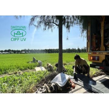 Quality DN300 UV CIPP Lining NO Digging UV Liner For Small Diameter Pipe To Cure 4mm for sale