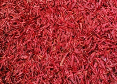 Quality Tientsin Dried Birds Eye Chilli Anhydrous Whole Red Peppers XingLong for sale