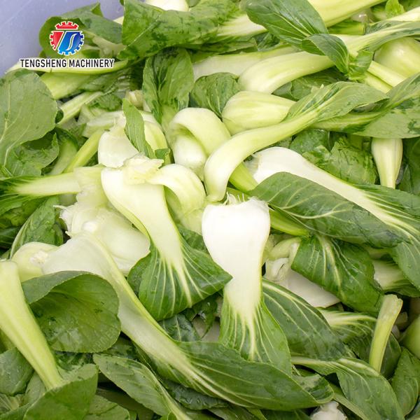Quality Bubble washing vibration air drying production line Orange Vegetable Herbs Fruit for sale