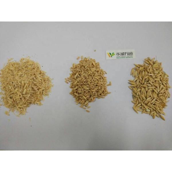 Quality Centrifugal Oat Maize Shelling Machine 50HZ Oat Peeling Machine for sale