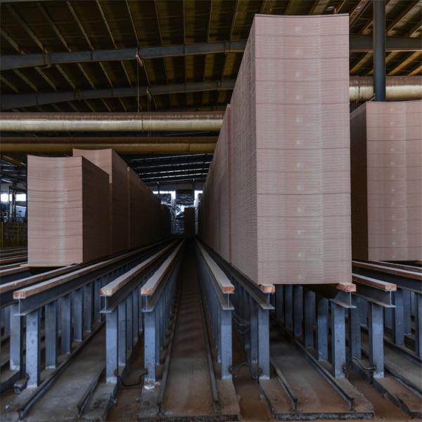 Quality 18mm Fire Retardant Fiber MDF Board With HPL Laminate in Modern Style for Wall for sale