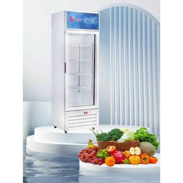 Quality 380L Commercial Display Refrigerator Fresh Keeping Direct Cooling Single Door Display Cooler for sale