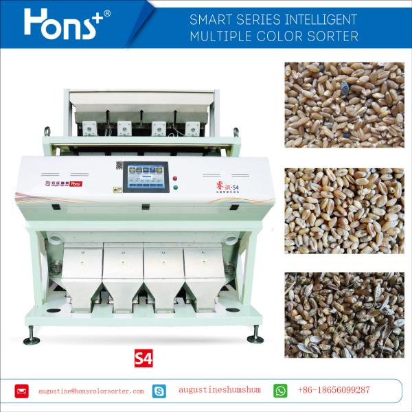 Quality Hons Brand S4 Long Lifetime Ejector Wheats Color Sorter With RGB Camera for sale