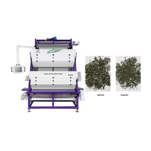 Quality Reliable Black / Green Tea Color Sorter Machine For Sorting And Grading for sale