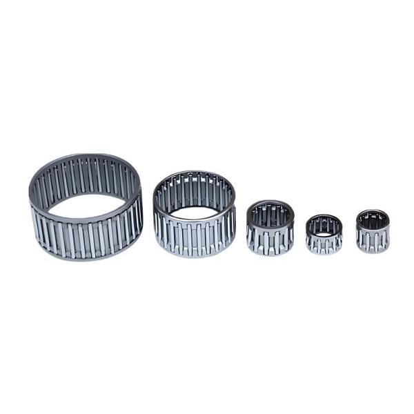 Quality OTOTRI Single Row Needle Roller Bearing K22x30x15tn for sale
