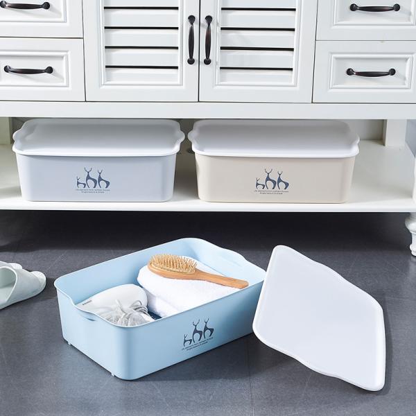 Quality Living Room Bedroom Underwear Plastic Organizer Box With Lid for sale