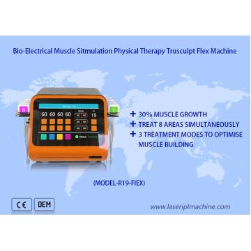 Quality Non Surgical Muscle Sculpting Ems Muscle Stimulation Machine Body Shaping for sale