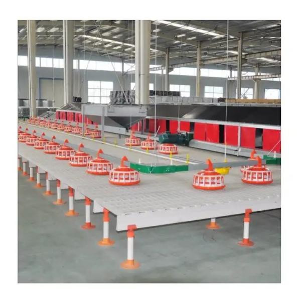 Quality Environment Control Animal Husbandry / Poultry Farm Equipment Automatic Feeding for sale
