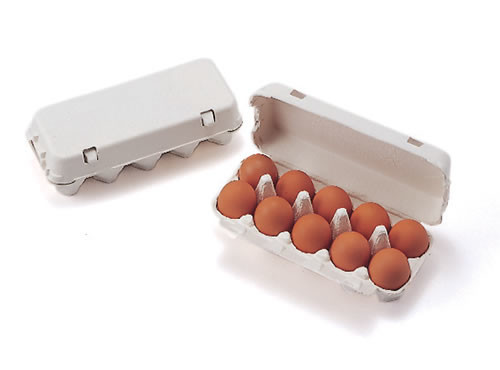Quality Biodegradable Plant Fiber Pulp Molding Egg Box Thermoforming Forming Machine for sale
