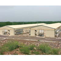 Quality Modern Light Ventilated Insulated Steel Structure Chicken Coop High Efficiency for sale