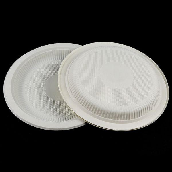 Quality Biodegradable Eco Friendly Dinnerware Sets Novelty Design Style for Party Picnic for sale