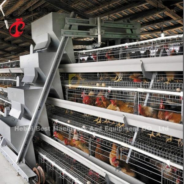 Quality Turnkey Project Automatic Poultry Battery Cage System 3 Tiers 450cm2 Star for sale