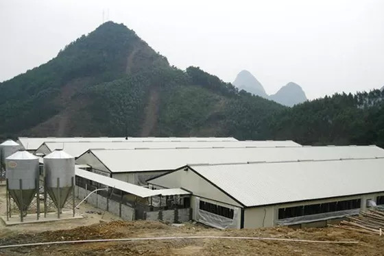 Quality XGZ Steel Structure Poultry House Customized Size Farm Steel Structures Custom for sale