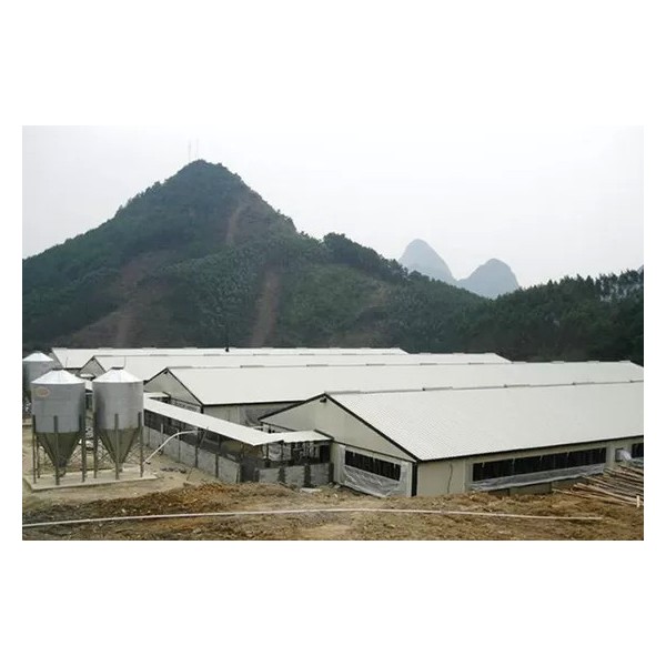 Quality XGZ Steel Structure Poultry House Customized Size Farm Steel Structures Custom Colors for sale