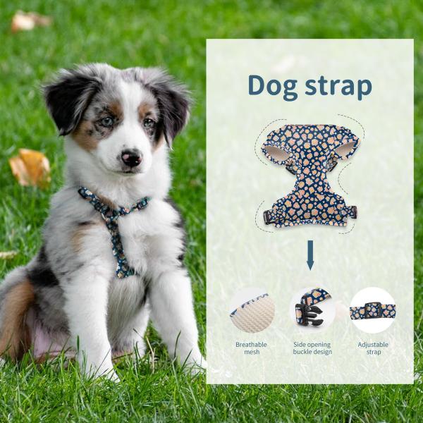 Quality Breathable Dog Collar Harness And Leash Set Printed Customized Harness Leash Set for sale