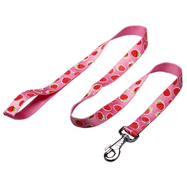 Quality OEM training dog leash Silk Screen Pattern dog training lead for sale