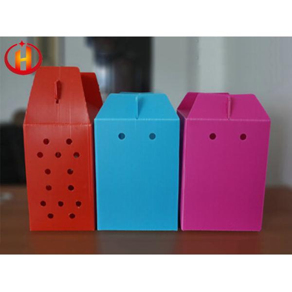 Quality Multifunctional Moistureproof Durable Corrugated Plastic Pet Carrier Stackable for sale