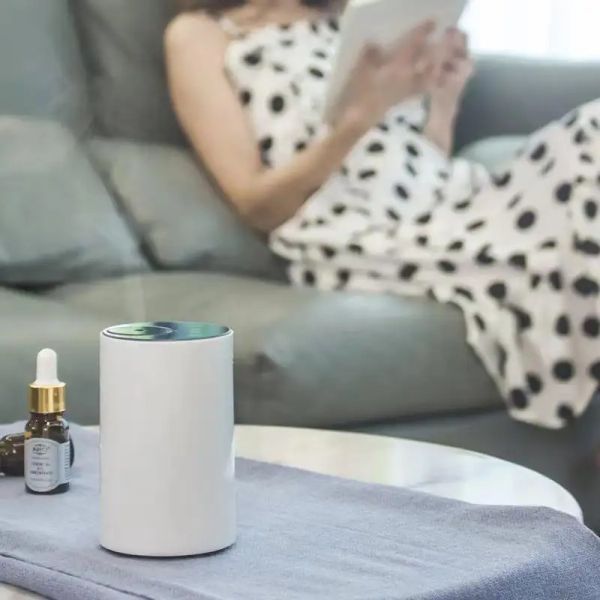 Quality HOMEFISH Portable Waterless Nebulizer Car Aroma Diffuser With Smart Touch Screen for sale