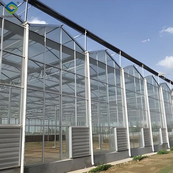 Quality Anti Reflective Automatic Venlo Glass Greenhouse With Agricultural Farming Systems for sale